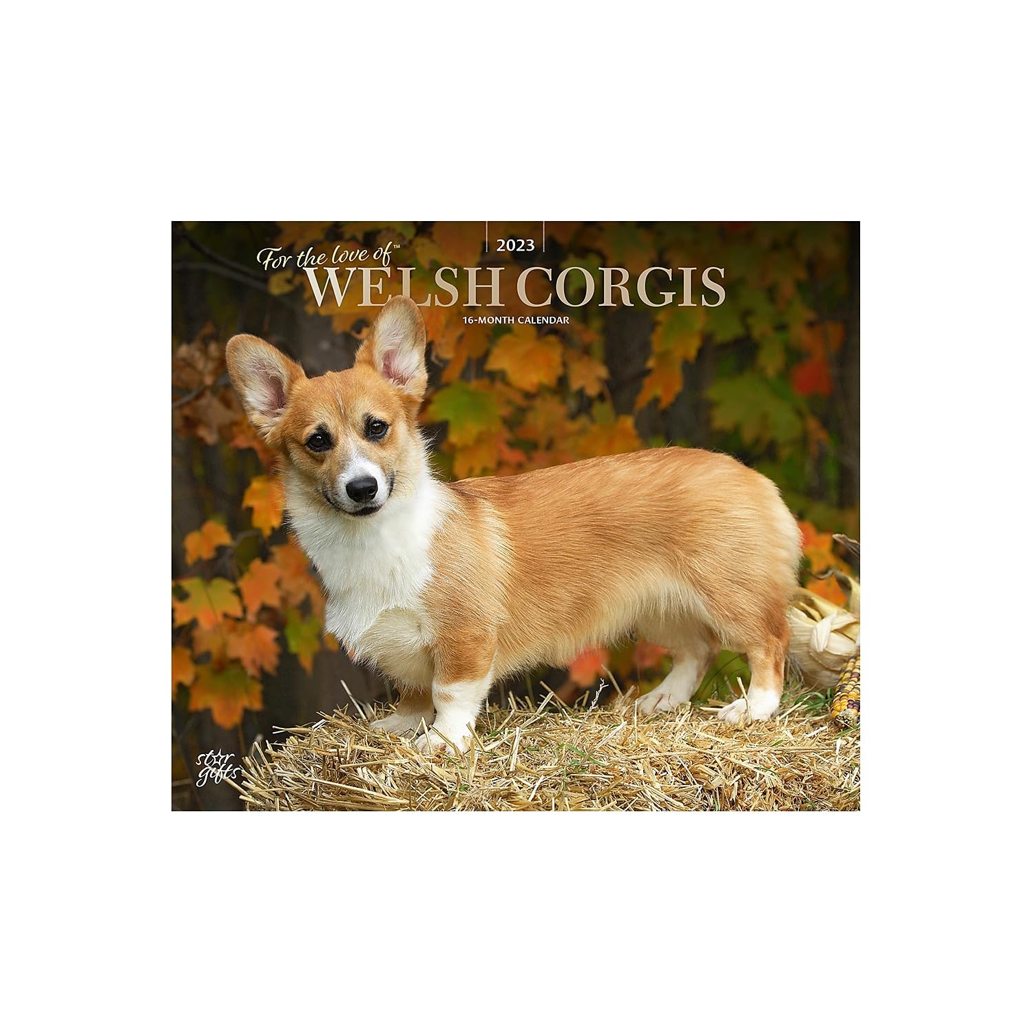Browntrout For the Love of Welsh Corgis