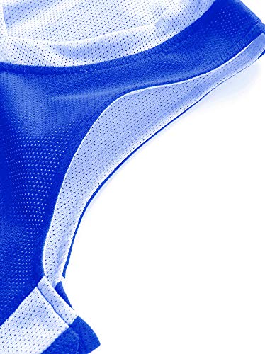 Liberty Imports 10 Pack - Reversible Men's Mesh Performance Athletic Basketball Jerseys - Adult Team Sports Bulk (Blue/White)