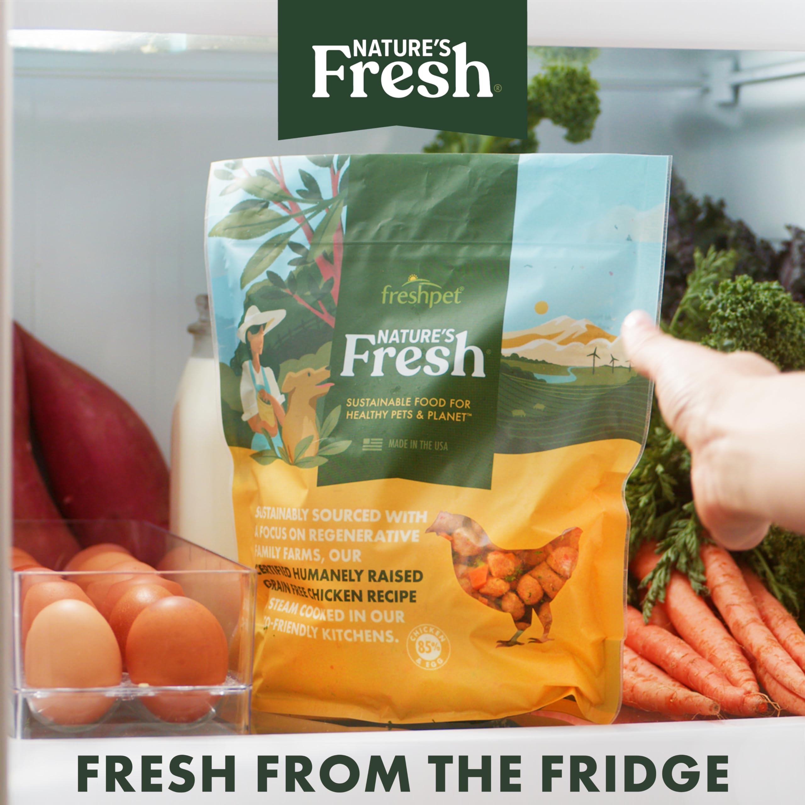 FRESHPET Beef Garden Vegetables Grains 5Lb Dog Food, 80 OZ