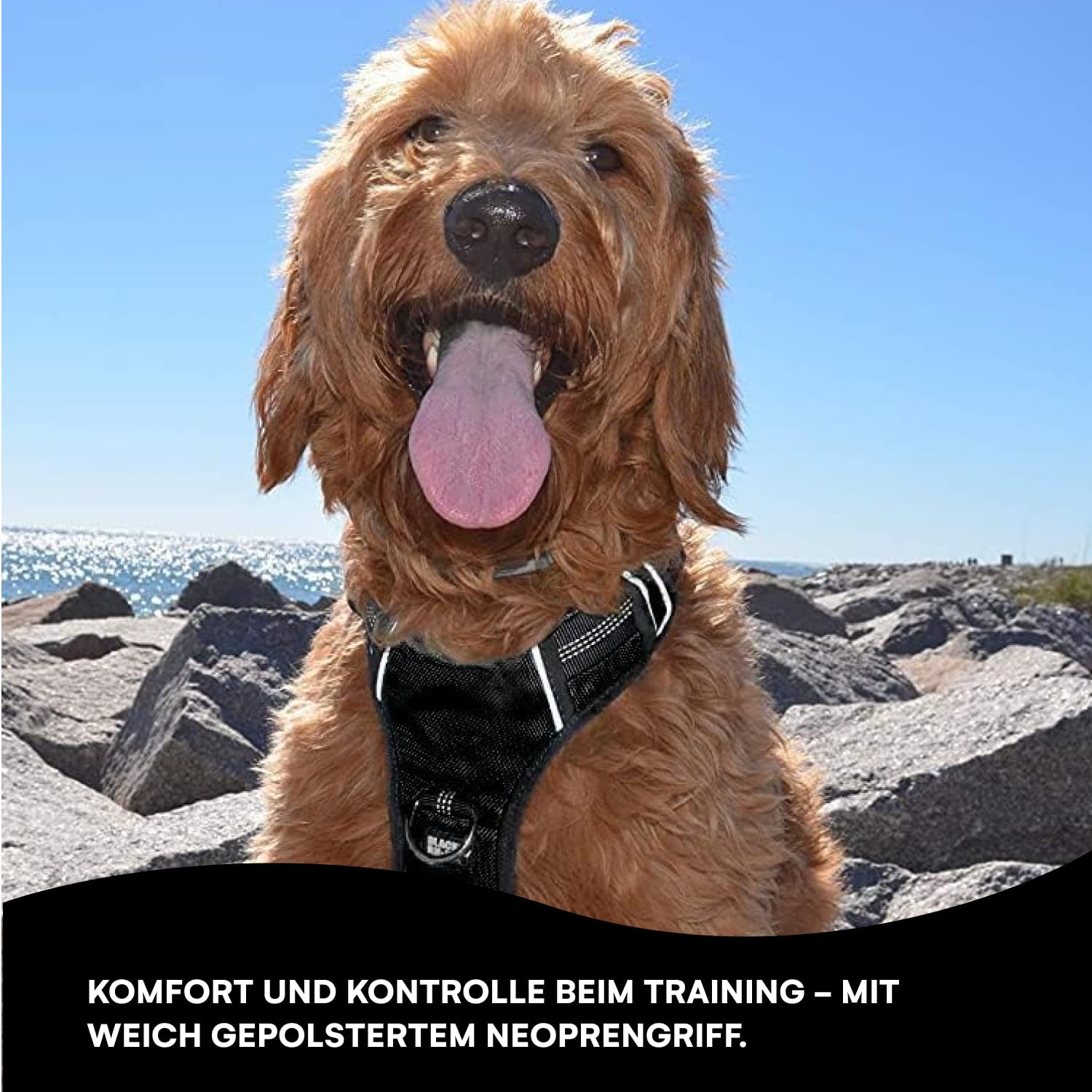 Black Rhino - The Comfort Dog Harness with Mesh Padded Vest for Small - Large Breeds | Adjustable | Reflective | 2 Leash Attachments on Chest & Back - Neoprene Padded Training Handle (Medium, Red/Bl)