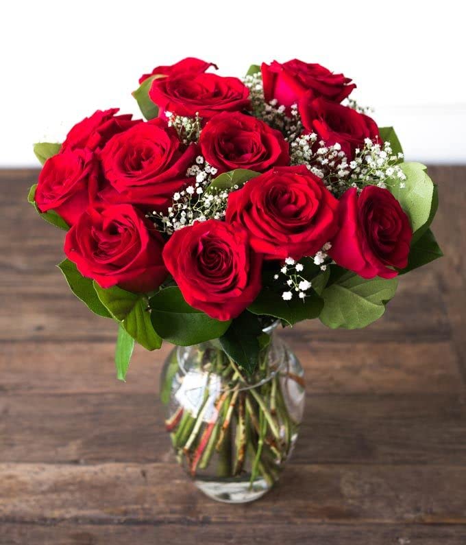 From You Flowers - One Dozen Long Stemmed Red Roses with Free Vase (Fresh Flowers) Birthday, Anniversary, Get Well, Sympathy, Congratulations