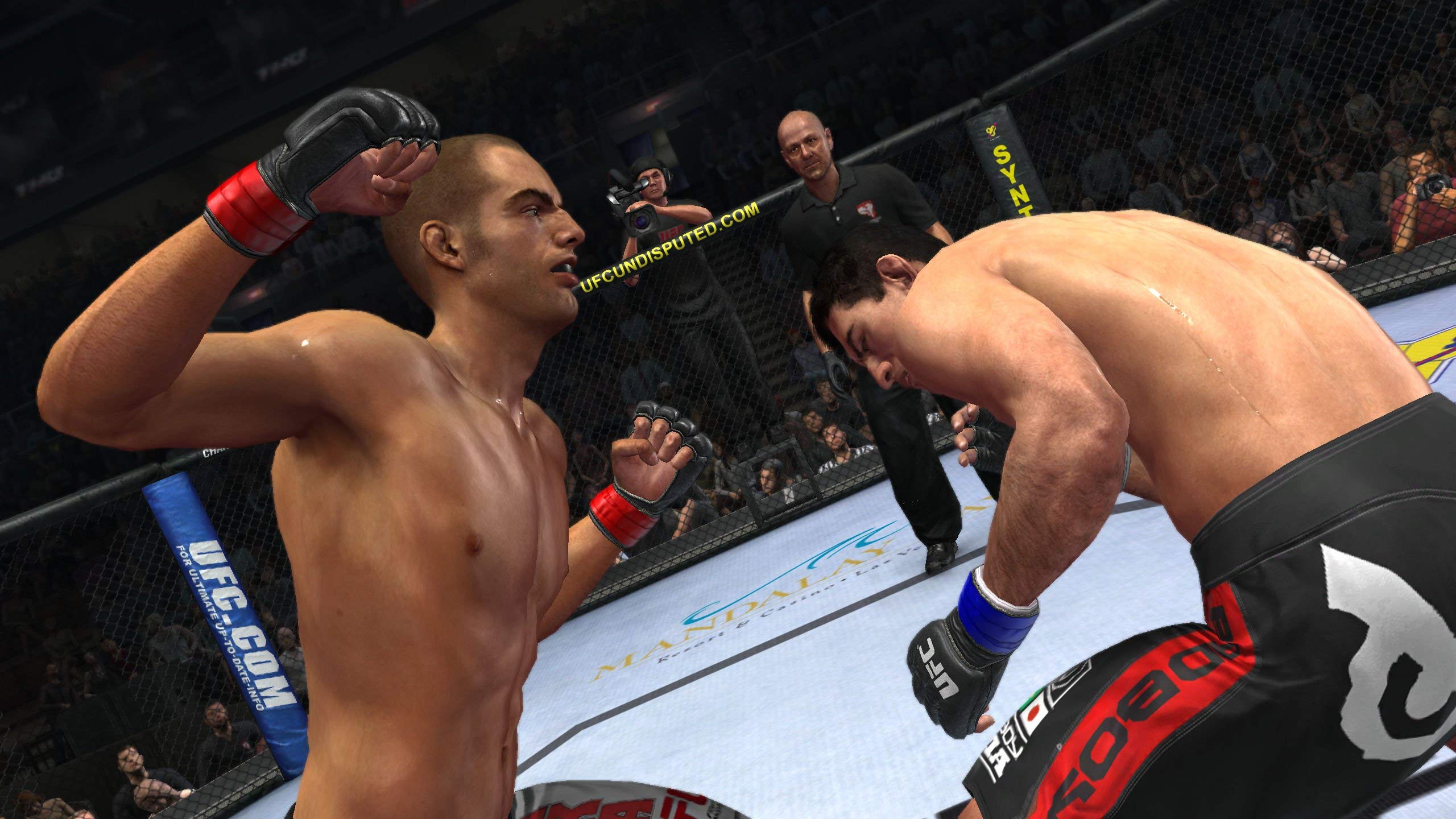 UFC Undisputed 2010 - Playstation 3 (Renewed)