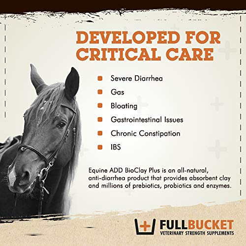 FullBucket Equine ADD BioClay Plus with Saccharomyces Cerevisiae Boulardii for Anti-Diarrhea; Concentrated Formula with 40 Billion CFUs β 1 Tube