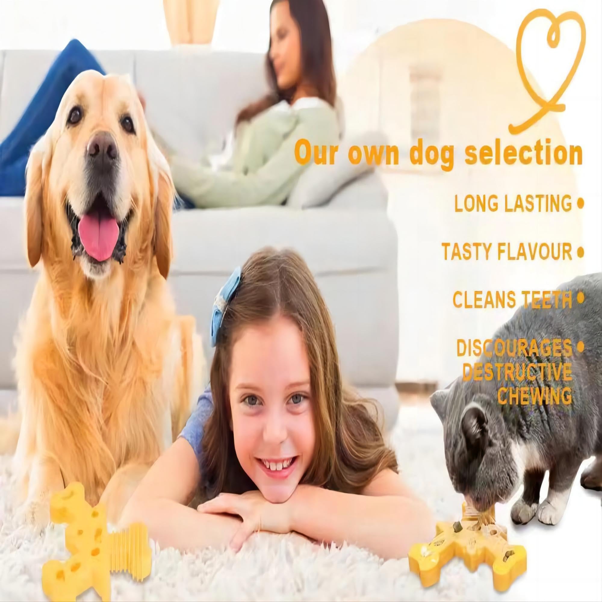 E&E Bestlife Cheese-Shaped Cheese-Flavored Dog chew Toy is Made from Safe and Biodegradable Nylon Material Providing Your pet with a Tasty and Safe chew Toy thoughtfully