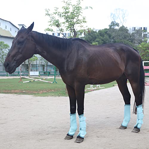 Gallopoff Fly Boots for Horses Set of 4, Breathable Comfy Mesh Horse Leggings Reduce Stomping, Hoof Stress, and Leg Fatigue SkyBlue Cob