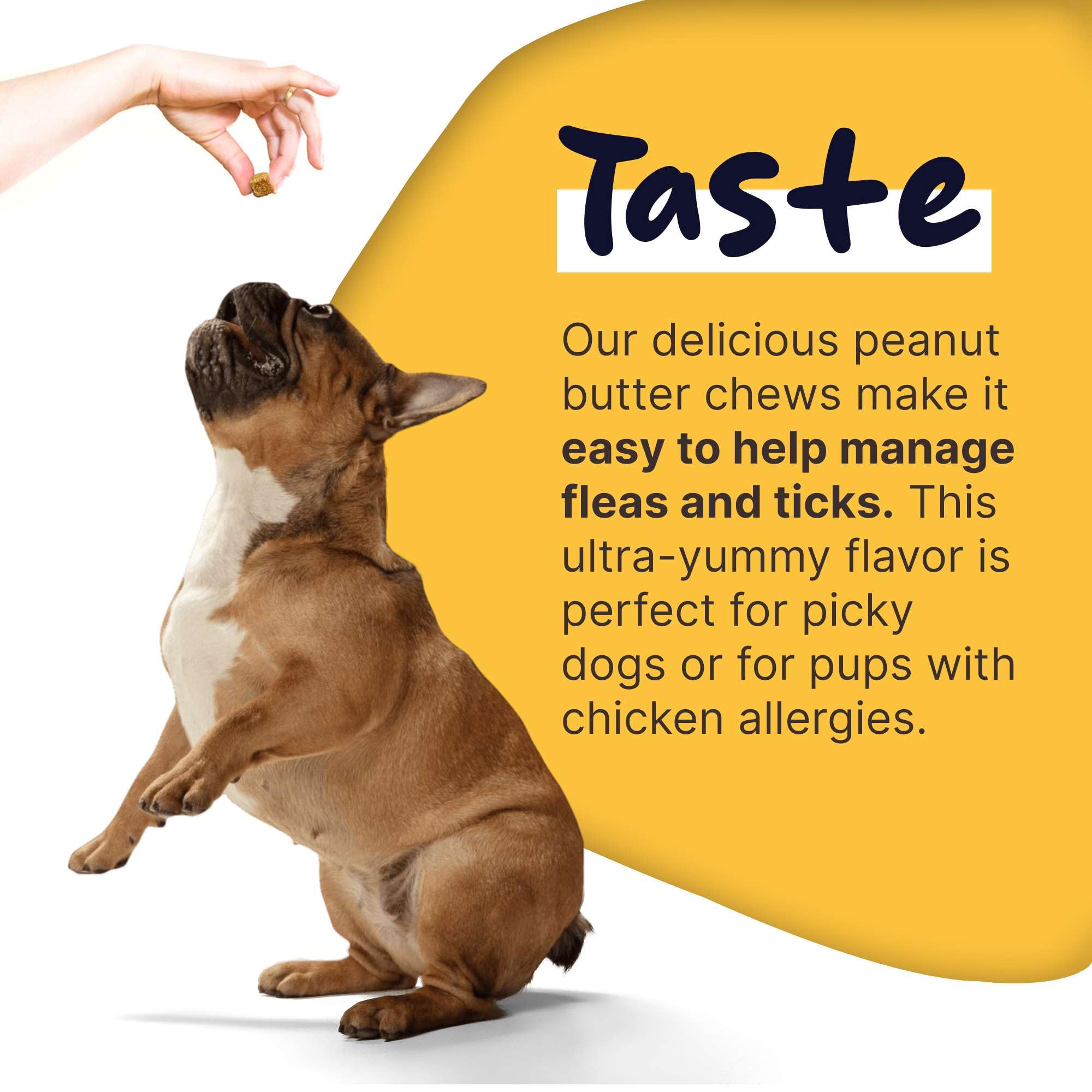 Flea and Tick Prevention for Dogs, Chewable β 90 Peanut Butter Flavored Soft Chews β Made with B Vitamins, Garlic Powder, Brewers Yeast, Coconut Oil, and Apple Cider Vinegar