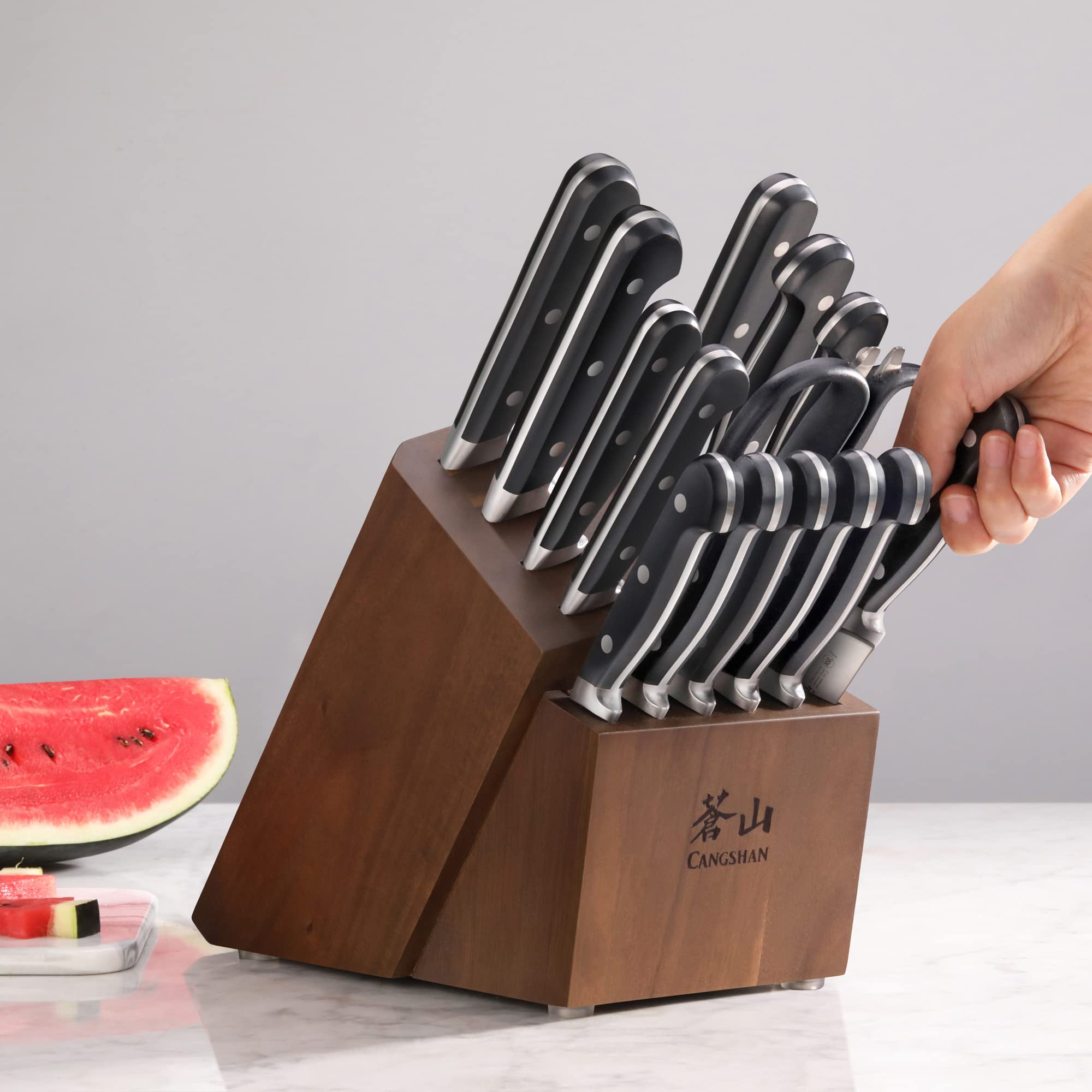 Cangshan Adams Series 1027266 German Steel Forged 15-Piece Knife Block Set, Black