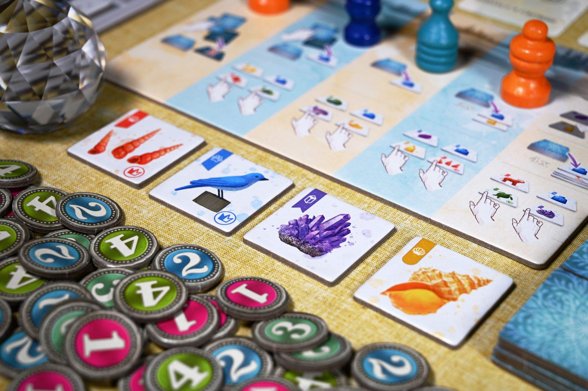 Pencil First Games The Whatnot Cabinet Board Game β A Nature-Themed Game of Collecting Intriguing Objects by Pencil First Games for 1-4 Players