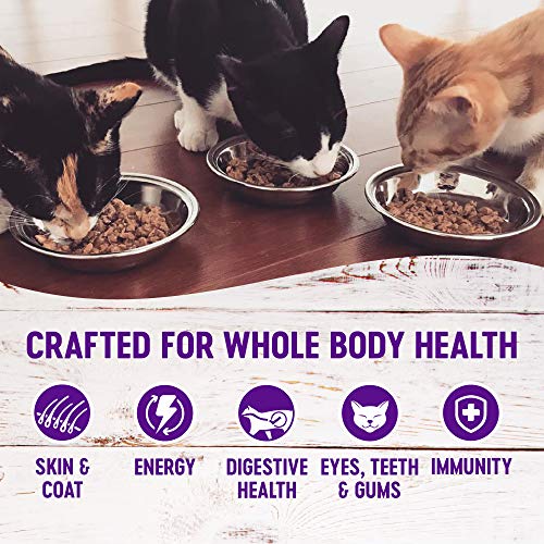 Wellness Healthy Indulgence Natural Grain Free Wet Cat Food, Morsels Chicken & Turkey, 3-Ounce Pouch (Pack of 24)