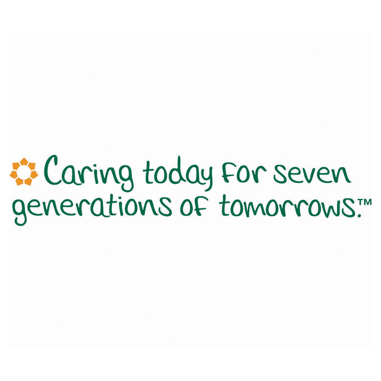 Seventh Generation Free and Clear Wipes Unscented - 64 Wipes