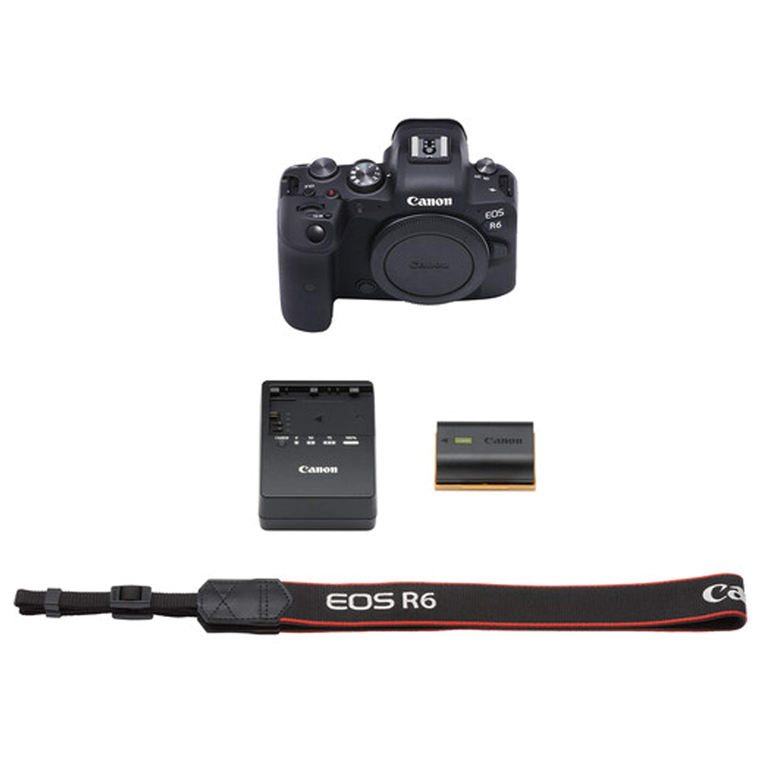 Canon EOS R6 Mirrorless Digital Camera with RF 24-105mm f/4-7.1 STM Lens + 75-300mm F/4-5.6 III Lens + 128GB Memory + Case + Tripod + Filters (41pc Bundle)