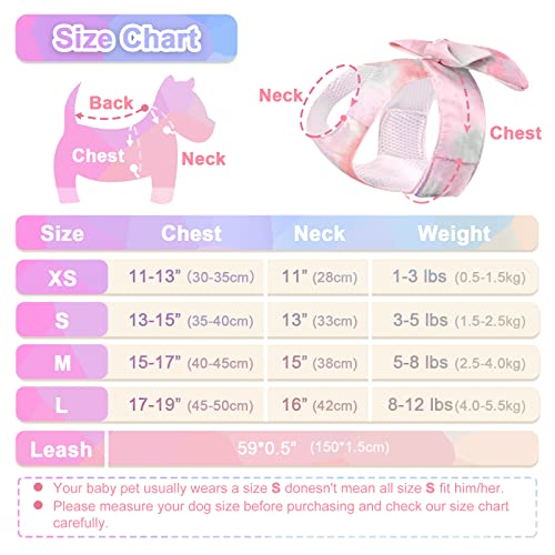 PETCARE Cute Bow Tie Dog Harness and Leash Set Elegant Rainbow Gradient Puppy Harness No Pull Soft Mesh Pet Cat Dog Vest Harnesses for Small Dogs Cats, Pink