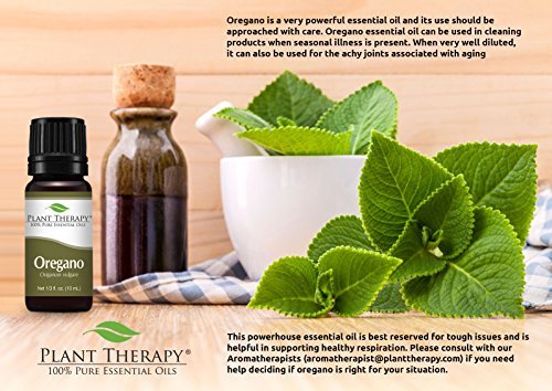Plant Therapy Oregano Essential Oil 100% Pure, Undiluted, Natural Aromatherapy, Therapeutic Grade 10 mL (1/3 oz)