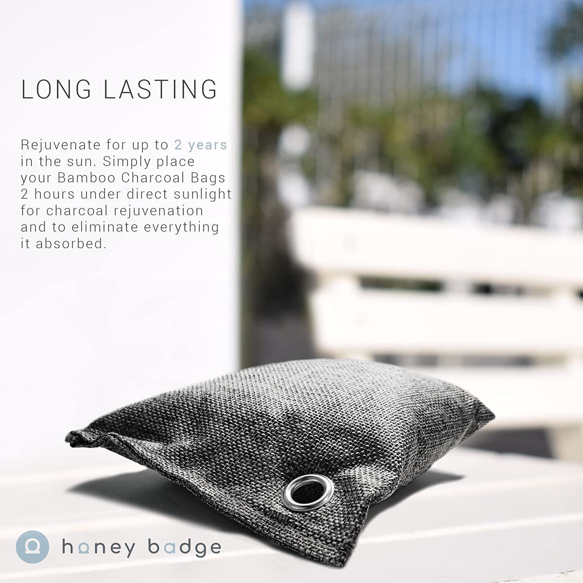 Charcoal Deodorizer Bags 4 Pack - Odor Absorber Charcoal Bamboo Bags for your Home (Pet Safe)