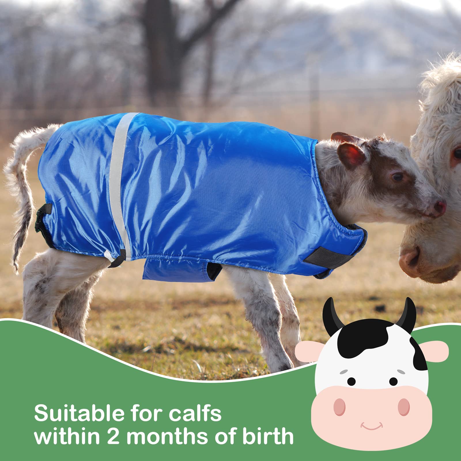 Dunzy 4 Pcs Winter Calf Blanket Calf Warm Clothes Waterproof Calf Warming Blanket Windproof Calf Jacket Livestock Calf Saver Coat for Keeping Cow Warm Thickened Belly Protection (Heavy Fleece Style)