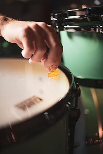 Meinl Cymbals pc Drum Honey Dampening Gel Pads, 12 Piece Assortment with Varying Sizes β Includes Container and Dividers (MDHA)
