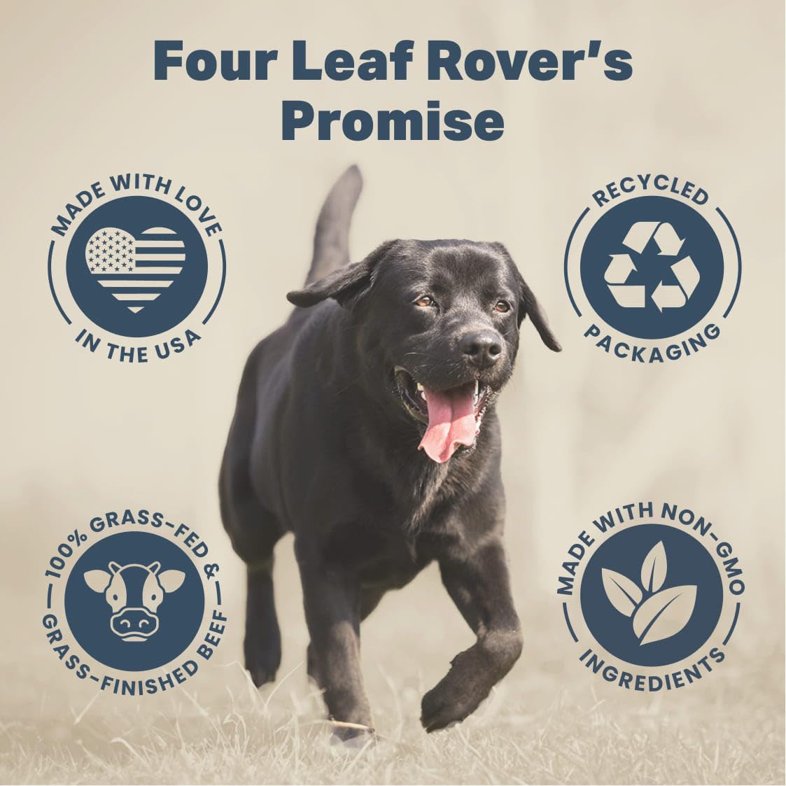 Four Leaf Rover: Bovine Colostrum from New Zealand Grass-Fed Cows - Dog Itch Relief and Immune Support (60-Day Supply)