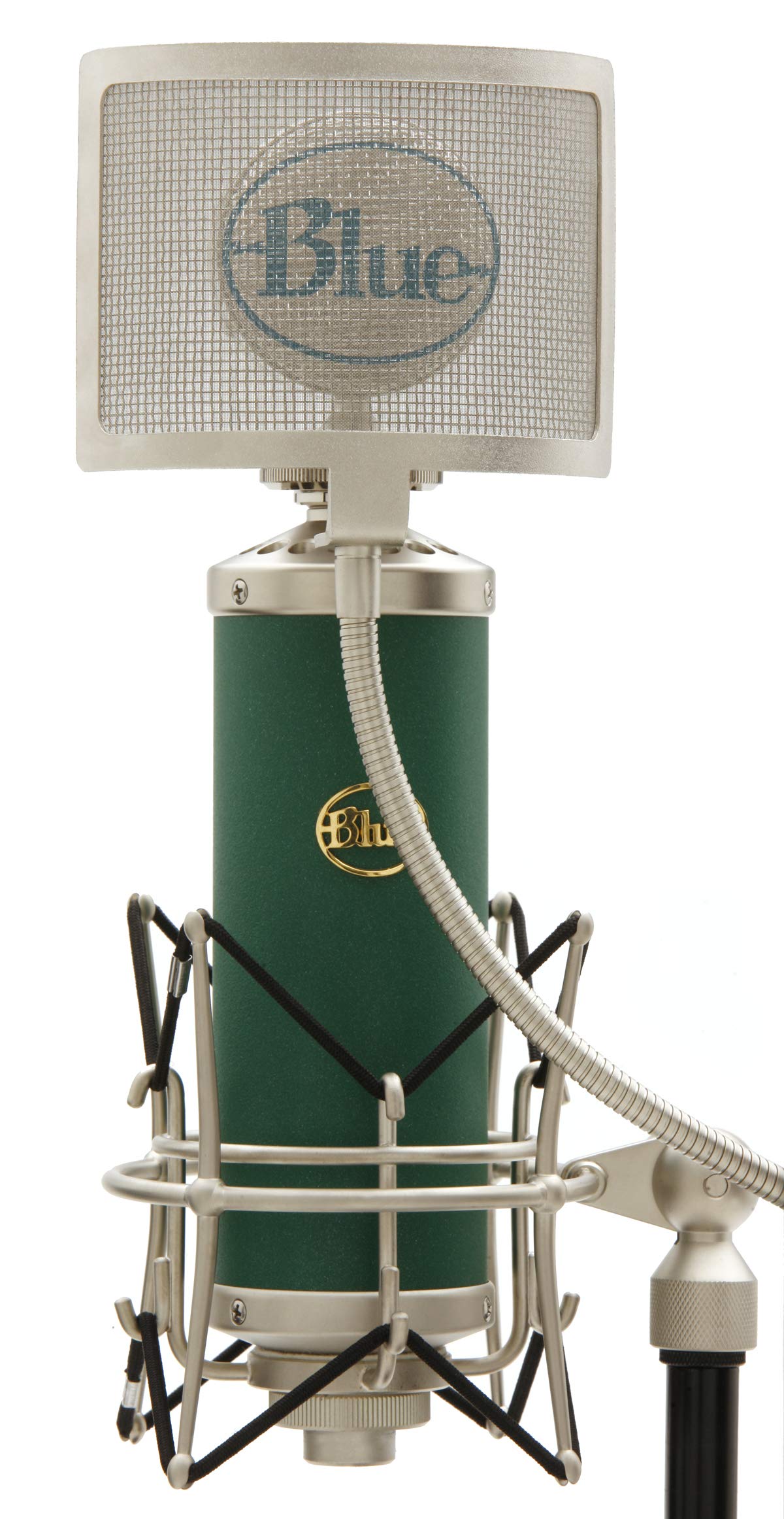 Blue Kiwi Microphone Kc