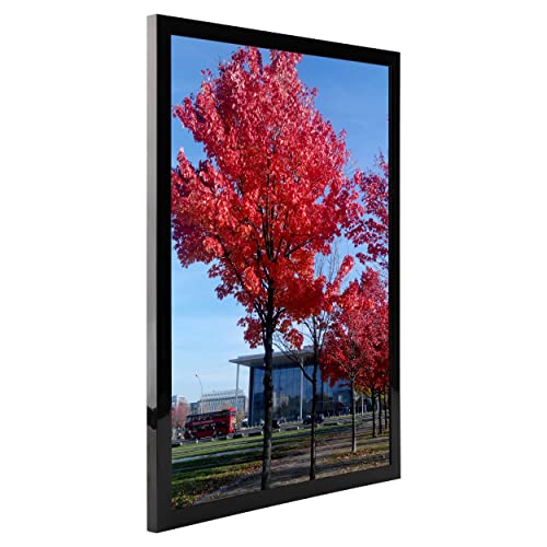 Medog 9x12 Picture Frame Set of 1 Black 9x12 Inch Picture Frames Display Pictures 9x12 Without Mat Wall Mounting Document Certificate Frames Picture Frame 9x12 (P1P BA)