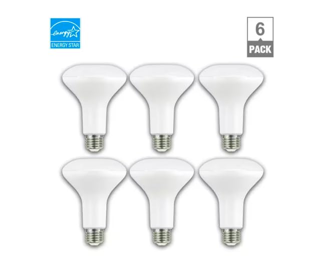 EcoSmart 65-Watt Equivalent BR30 Dimmable LED Light Bulb Daylight (6-Pack)
