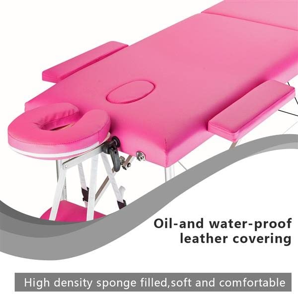 CXDTBH Massage Table Bed 2 Sections Folding Portable Aluminum Foot SPA Professional Beauty Equipment 60CM Wide (Color : Black)