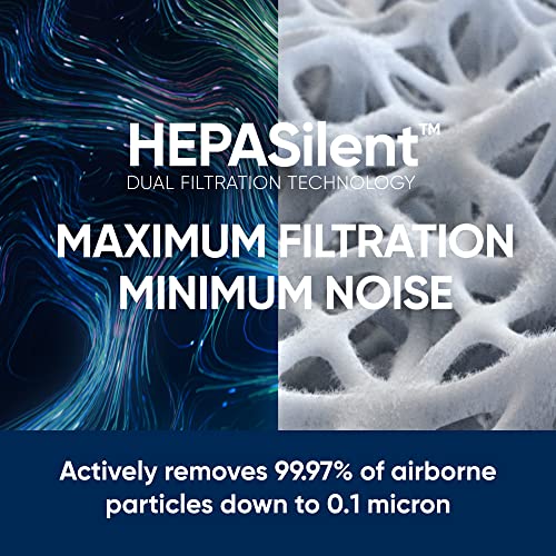 BLUEAIR Pro Air Purifier for Allergies Mold Smoke Dust Removal in Large Office Spaces Homes and Lobbies, Pro L, White
