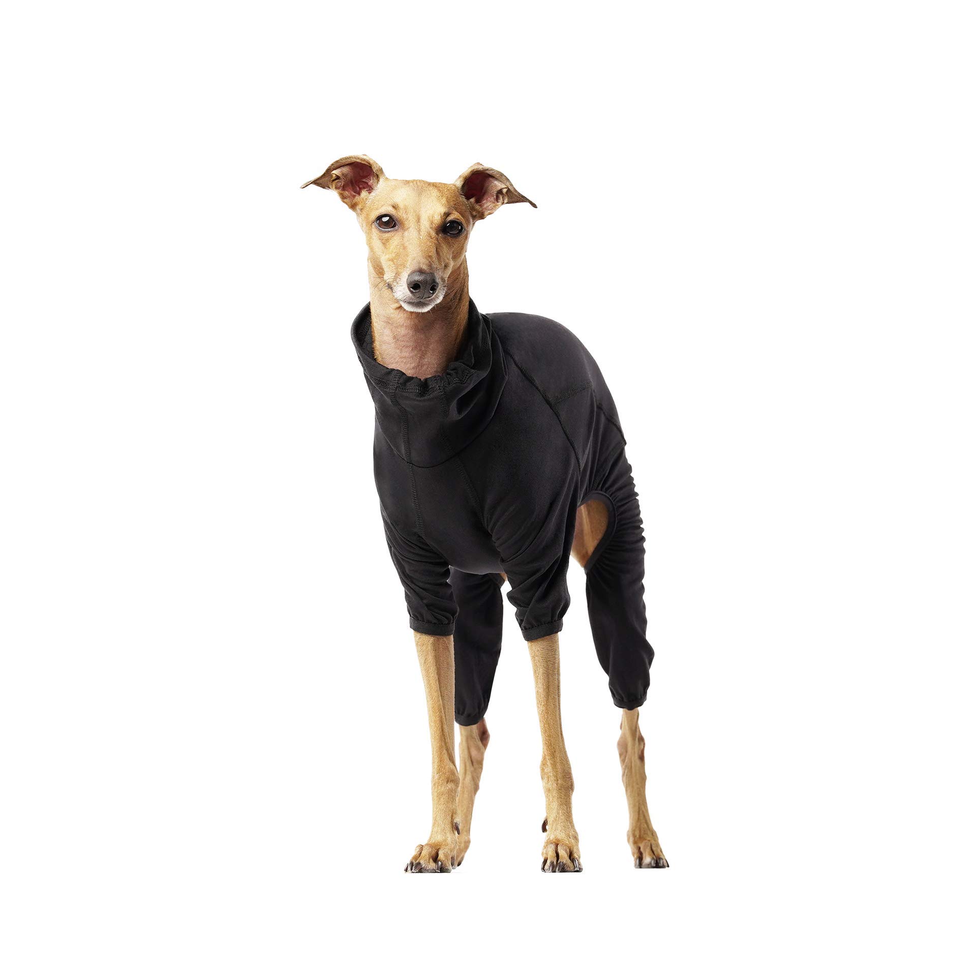 Canada Pooch Dog Onesie Full Coverage Pet Thermal Adjustable Bodysuit Heat Retention Fabric to Warm Dogs in Cold Weather for Small Medium Large Dog - Black/Size 8