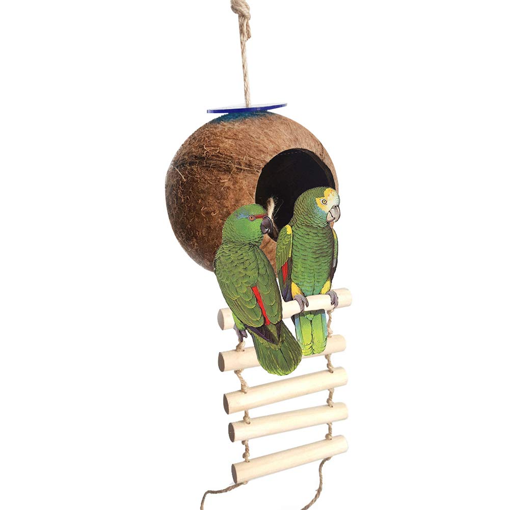 Bluelanss Bird House with Ladder - Beautiful Nesting Home and Bird Feeder - Natural Textures Encourage Foot and Beak Exercise - Natural Coconut Husk - Sustainable Materials - Durable Habitat C