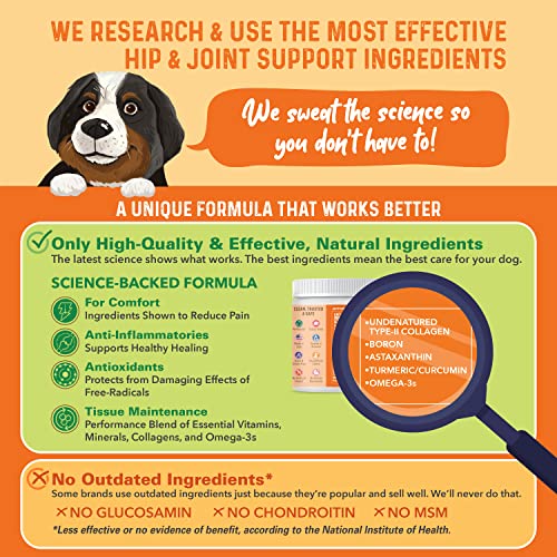 Bernie's Healthy Hips - Daily Dog Hip and Joint Supplement - 90 Soft Chews - Reduce Pain, Encourage Mobility, Slow Damage, Repair and Rebuild Hips and Joint Tissues