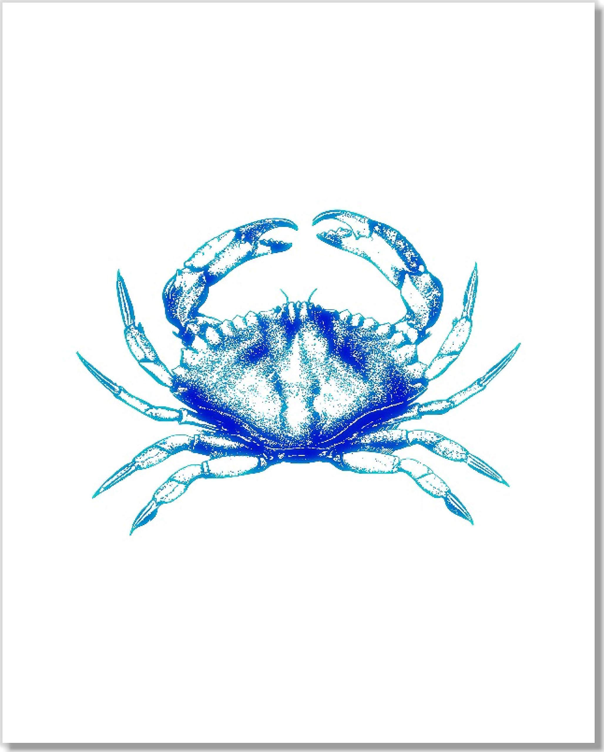 Beach Wall Art Prints - Nautical Decor - (Set of 6) - 8x10 - Unframed - Ocean Theme