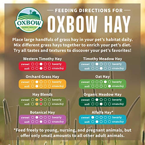 Oxbow Animal Health Western Timothy Hay - All Natural Hay for Rabbits, Guinea Pigs, Chinchillas, Hamsters & Gerbils - 25 lb. Bulk Size