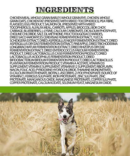 HORIZON PET NUTRITION Complete Whole Grain, Non GMO, Meat Dense All Life Stage Dry Dog Food, 8 8 lb Bag, (CA4)