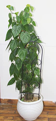 Hosley Set of 2 Iron Wave Pot Trellis 28 Inch High. Ideal Gift for Wedding or Party and Use Next to Structures Home or Office or in Planters for Growing Floral Plants Vines and Vegetables O4