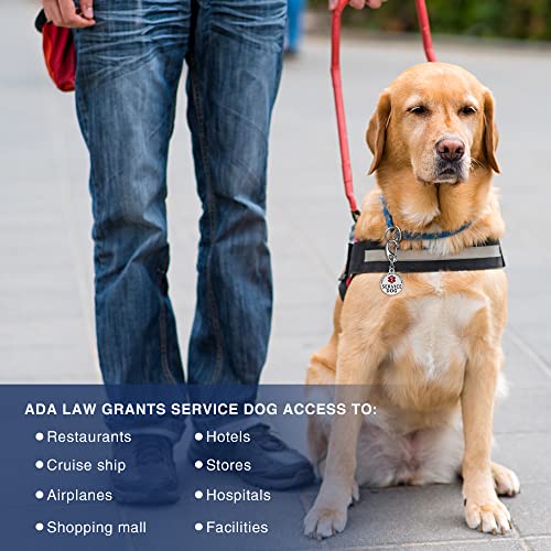 Leash King 1.25" Double-Sided Service Dog Tag with 1.3" Solid Quick Clip– Easily Attach to Collar, Harness, Vest – Entirely Surgical Stainless Steel – PVD Rose Gold