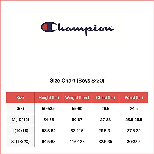 Champion Boys Short Sleeve Tee Shirt Chest Script Big and Little Boys Top (Black, Small, s)
