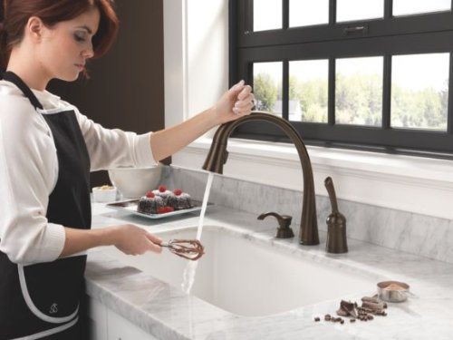 Delta Faucet Pilar Kitchen Soap Dispenser for Kitchen Sinks, Venetian Bronze RP50781RB