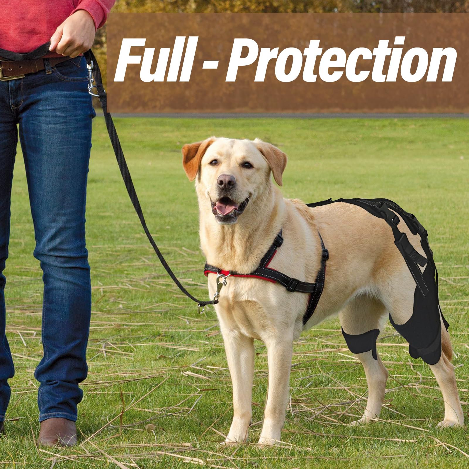 Dog Knee Brace with Side Stabilizers - Support for Dog ACL CCL Cruciate Ligament Injury Joint Pain and Muscle Sore(Size XXL