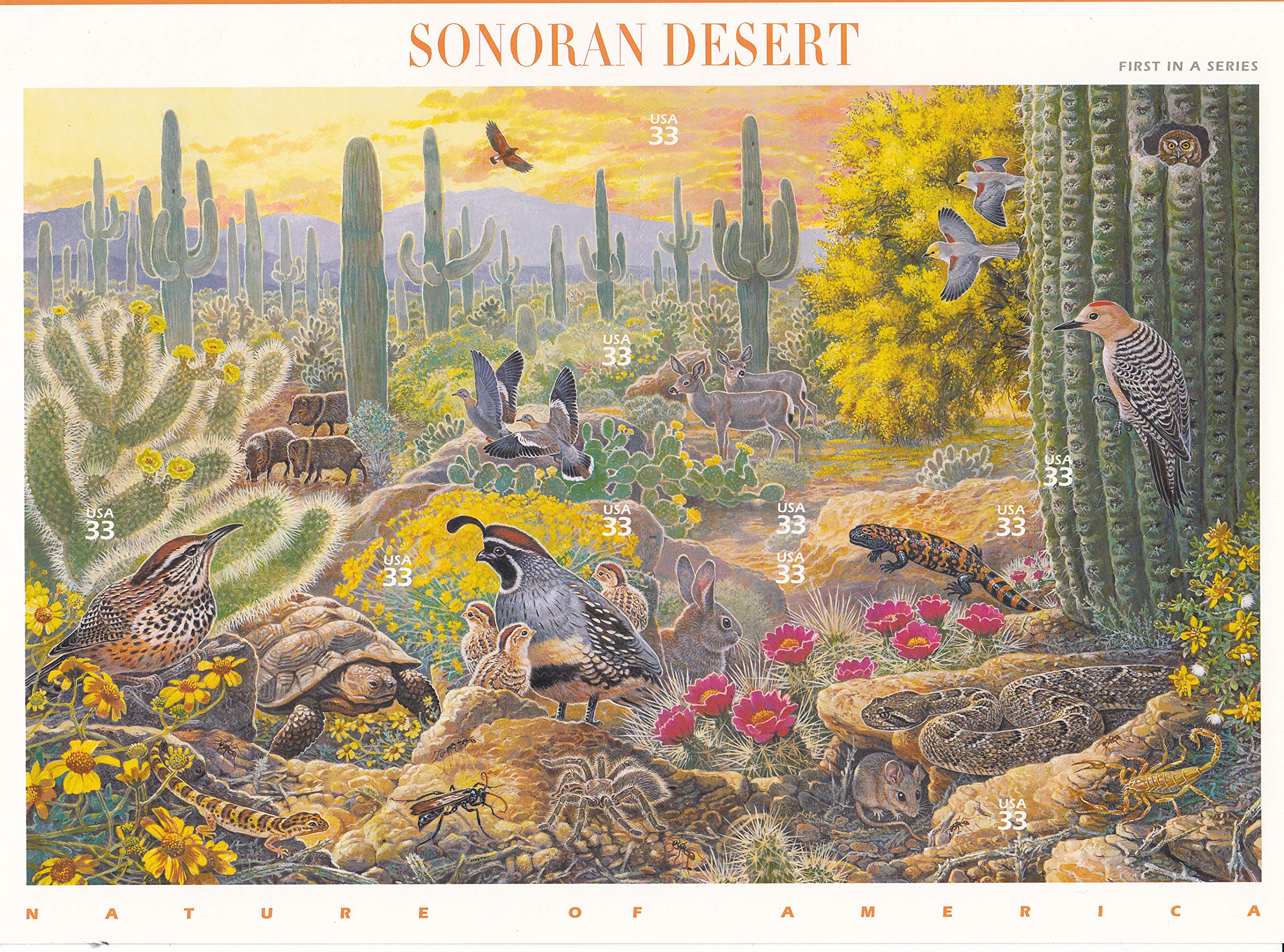 Postage Stamp US Scott 3293 Sonoran Desert Full Sheet of Ten 33 Cent Stamps