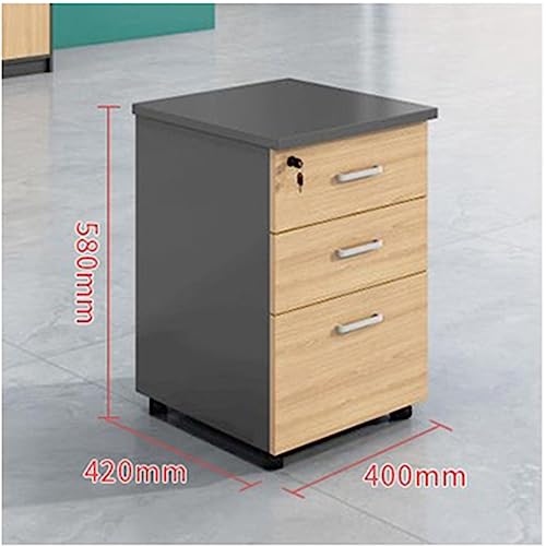 REHOOF 47.2x23.6 inch Executive Desk, Large Office Computer Desk with Thicken Frame, Modern Simple Workstation Business Furniture for Home Office, (Color : C+File Cabinet)