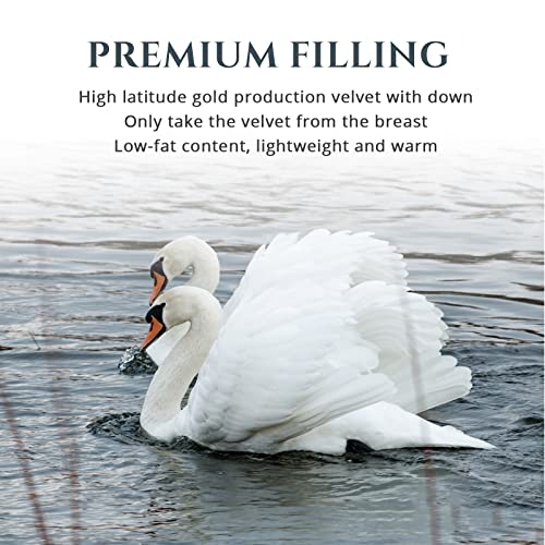 JOLLYVOGUE Down Comforter King Size, Down Duvet Insert for All Season with Corner Tabs & Box Stitched Quilted White(102x90 Inches)
