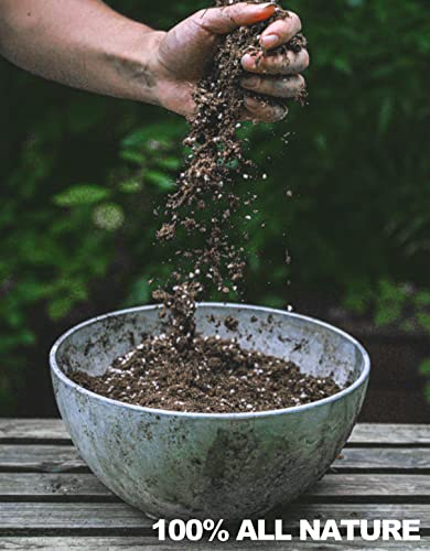 Carnivorous Plant Soil Mix, 1 QT Small Size Bag for Repotting, All Natural Ingredients Great for Venus, Sundews, and Pitcher Plants