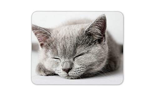 Beautiful Grey Kitten Mouse Mat Pad - Cat Mum Student Uni Mouse Pad Mousepad -15406