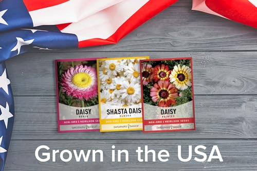 Daisy Seeds for Planting Outdoors Flower Seeds (3 Variety Pack) Alaska Shasta Daisy, Painted Daisy, Yellow Daisy Varieties for Butterflies, Bees, Pollinators Wildflower Seed by Gardeners Basics