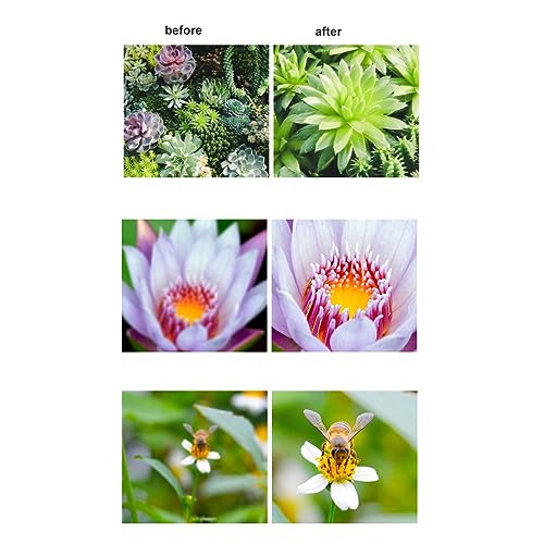 GOWENIC 15X Macro Lens with Mini Clip Ring Light, Macro Lens for Smartphone, 2800 to 6500K Phone Clip on Zoom Lens for Photography Video Recording (Black)
