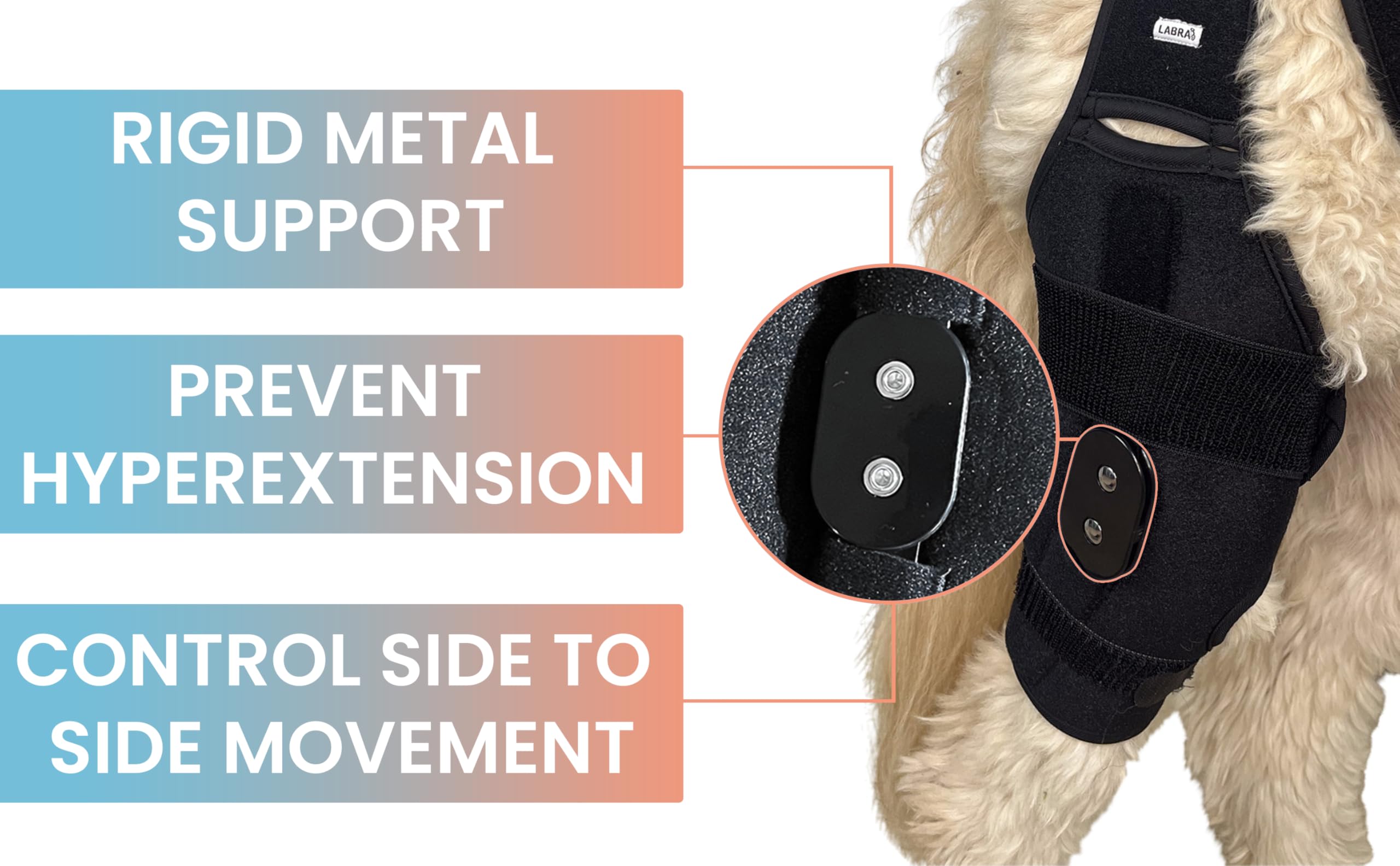 Labra Dog Canine Knee Stifle Brace Wrap, Metal Splint Hinged Flexible Support Brace for K9 ACL, CCL, Luxating Patella, Cruciate Ligament Sprains in Back, Rear, Hind Leg (Extra Large - 75-100lbs)