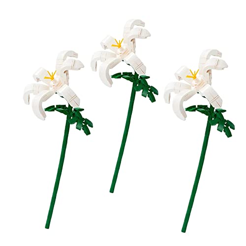 Crabegg Roses Building Sets for Kids | Patented Design | 3D Puzzles Flowers Bouquet for Adults