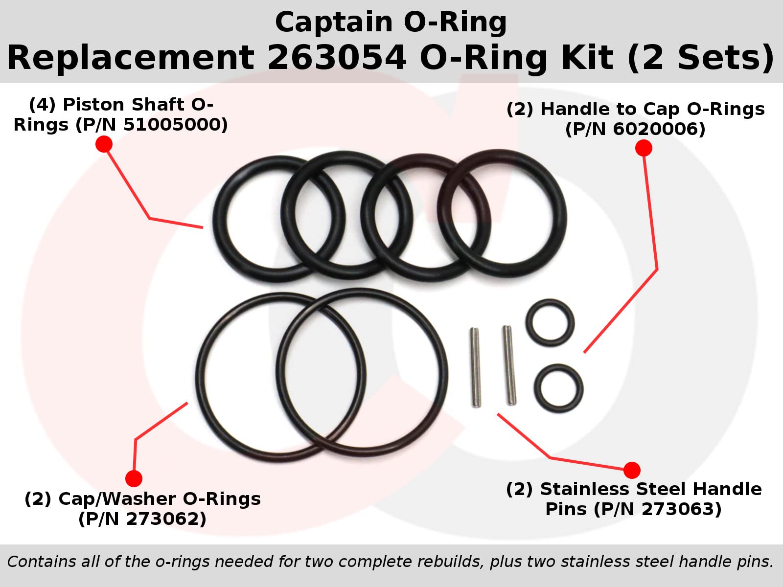 Captain O-Ring - Replacement 263054 O-Ring Kit for Pentair/PacFab/Sta-Rite Slide Valve 263064, 263052, 263053, 263078, 263079 (2 Sets)