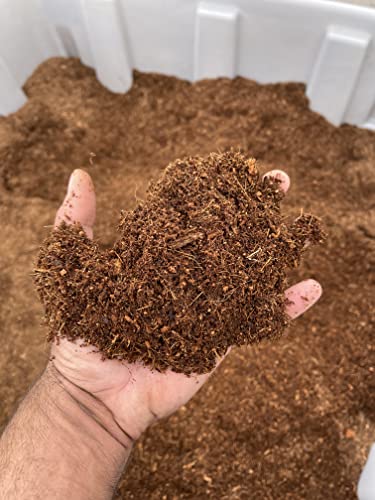 ReptiEarth Fine Coconut Fiber Substrate, Fluffy Small-Strand Reptile Substrate and Snake Bedding for Bioactive Terrarium Tanks, Organic Coco Fiber for Lizards, Frogs, Tarantulas (12 Quart)