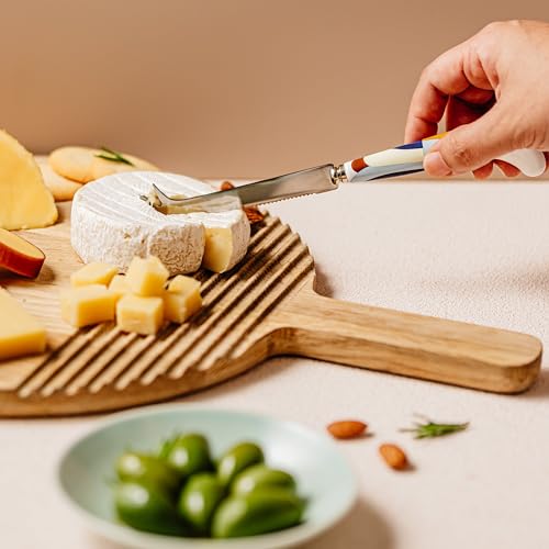 Dr.HOWS Victoria Cheese Knife Cutters for Block, Cheese Knife That Cuts All Cheese Types,Modern Designed, Clour Handles, Stainless Silverware Tableware