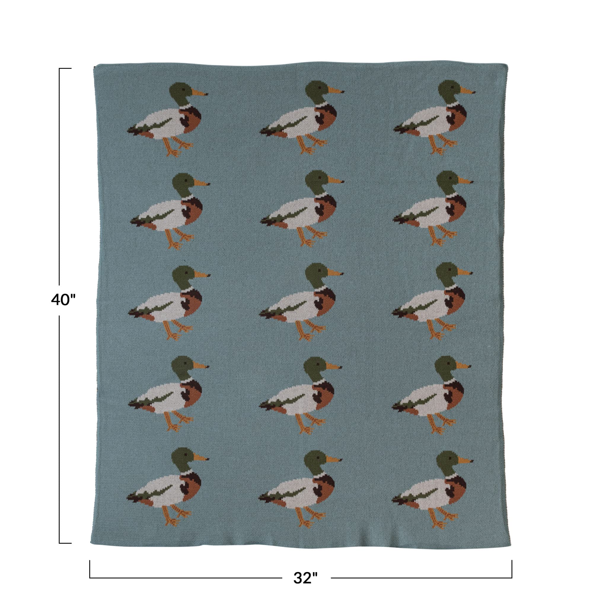 Creative Co-Op Cotton Knit Duck Print, Multicolor Baby Blanket, Multi